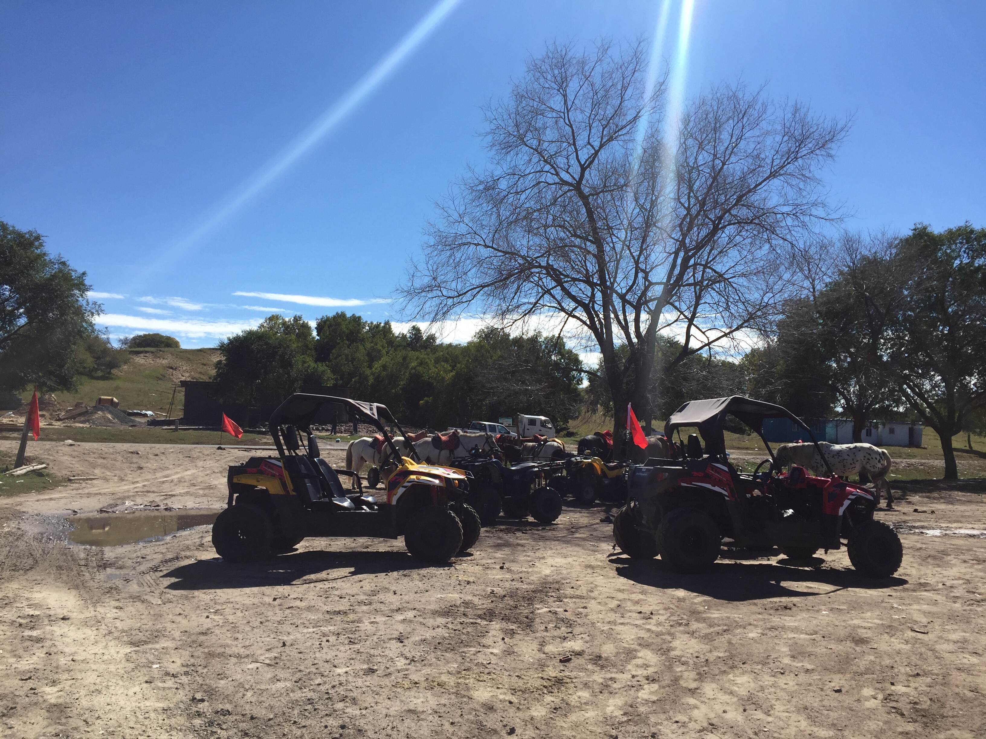wholesale UTV with bucket manufactures/supplier,UTV with bucket factory