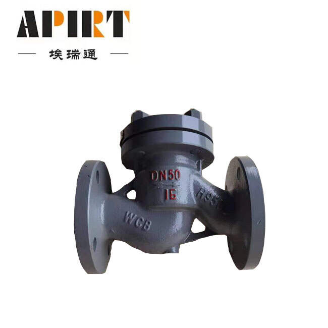 DIN SWING CHECK VALVE