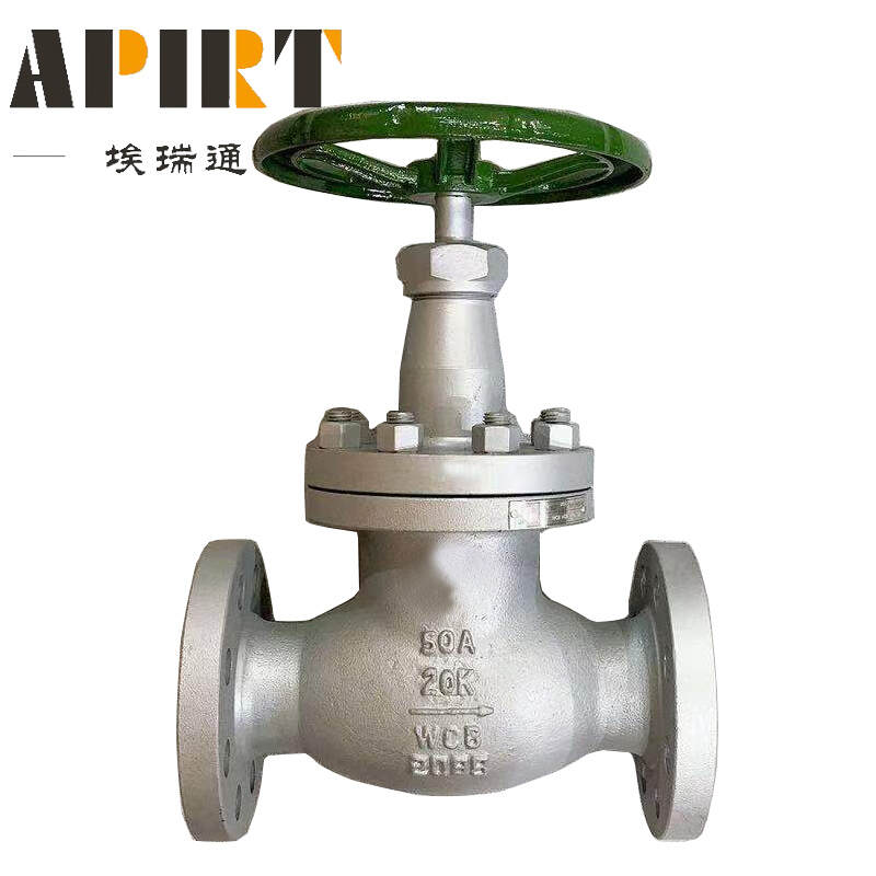 SCPH2 GLOBE VALVE