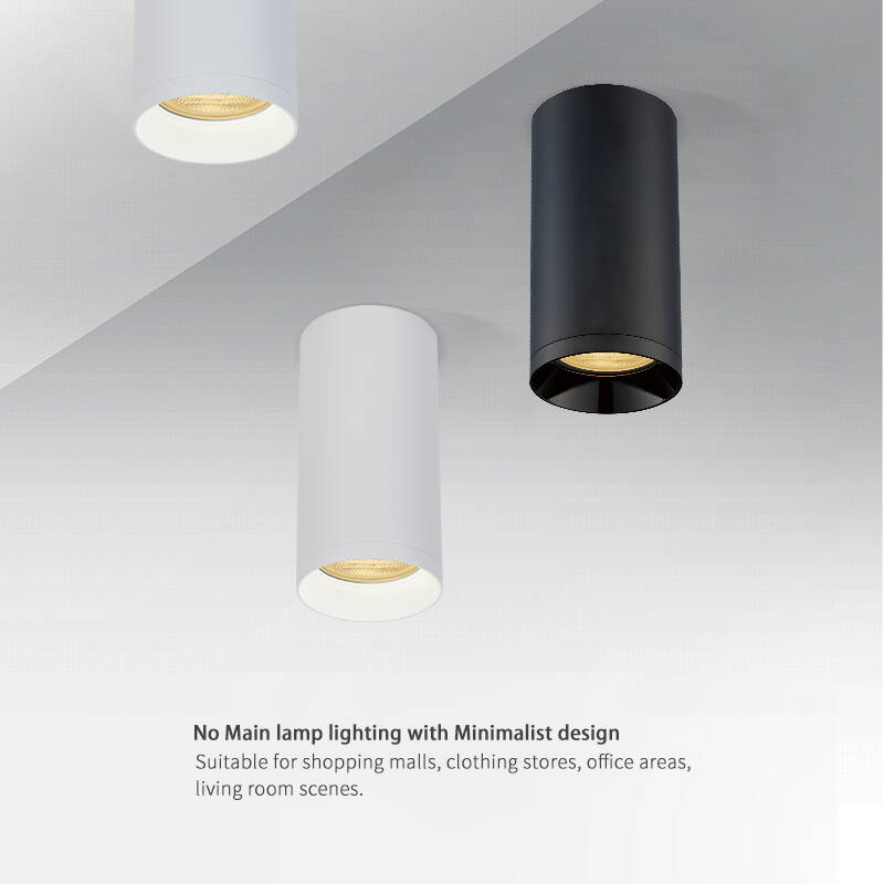 Soffit Mounted Down Lighting Flush Mount Ceiling Light Fixture Flat
