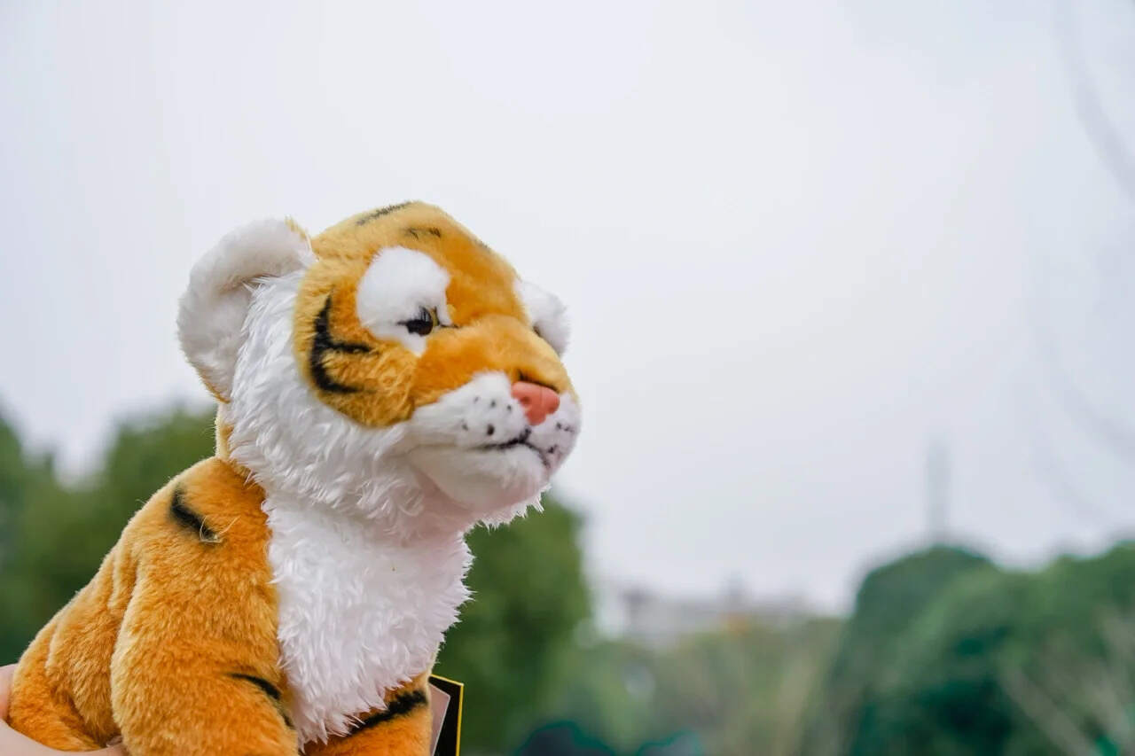 Customize Factory Tiger Plush Toys China
