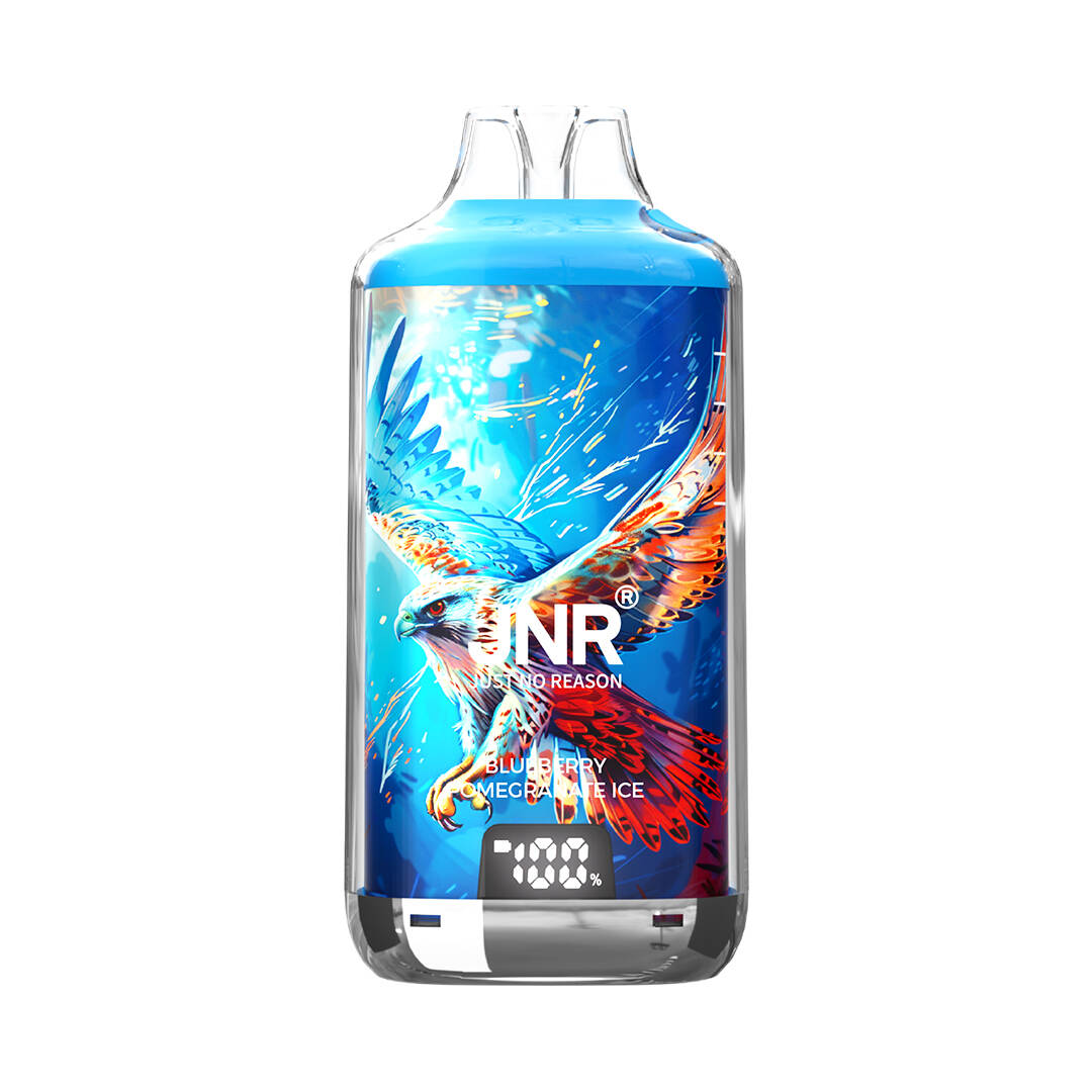JNR Falcon-X⁺ 28000 Refillable Disposable Vape 2 Bottles e-liquid-JNR