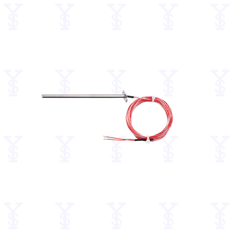 RTD temperature sensor