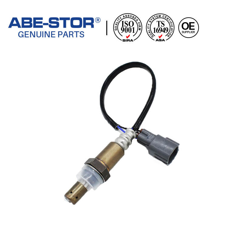 Oxygen Sensor