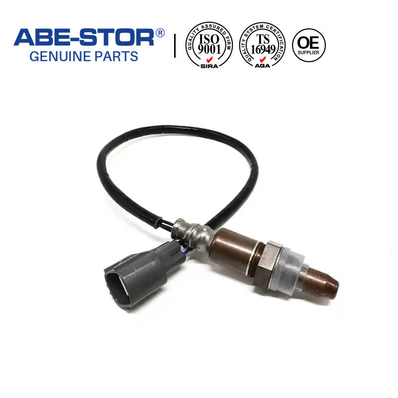 Oxygen Sensor