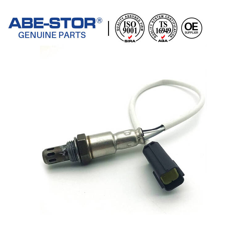Oxygen Sensor