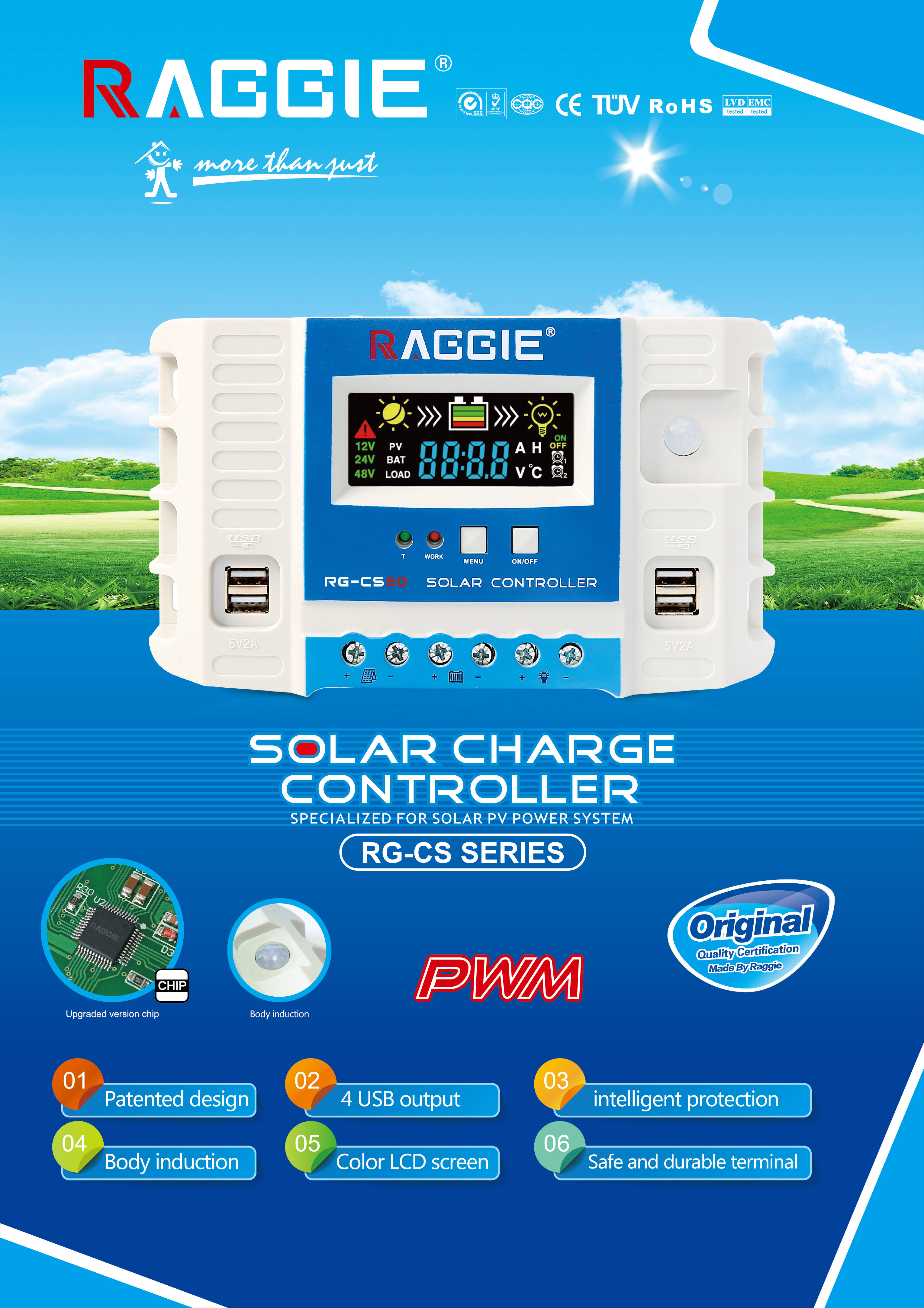 RAGGIE RG-CS 20A 12/24v PWM solar charge controller 12V solar power ...