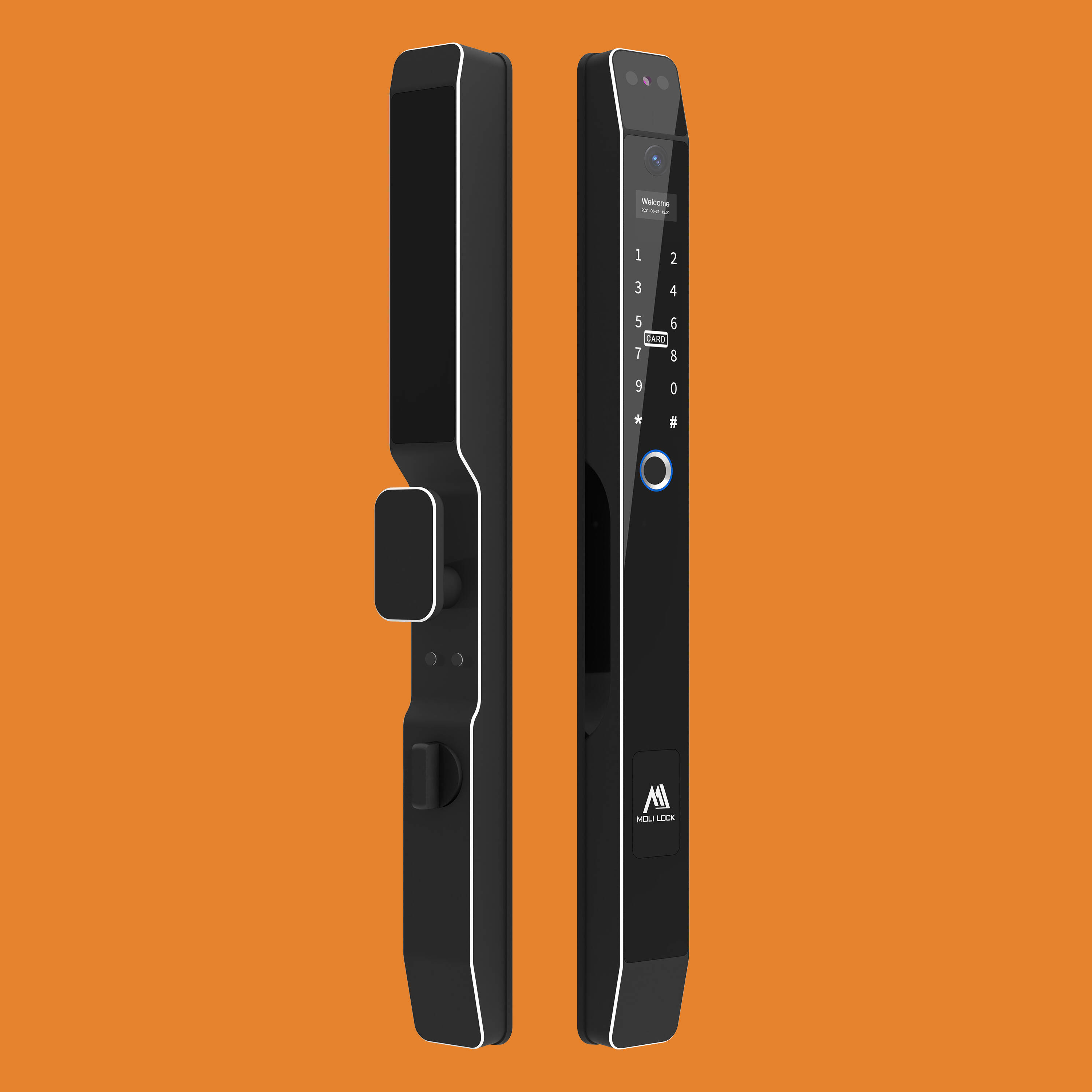 Electronic Door Lock MoliLock