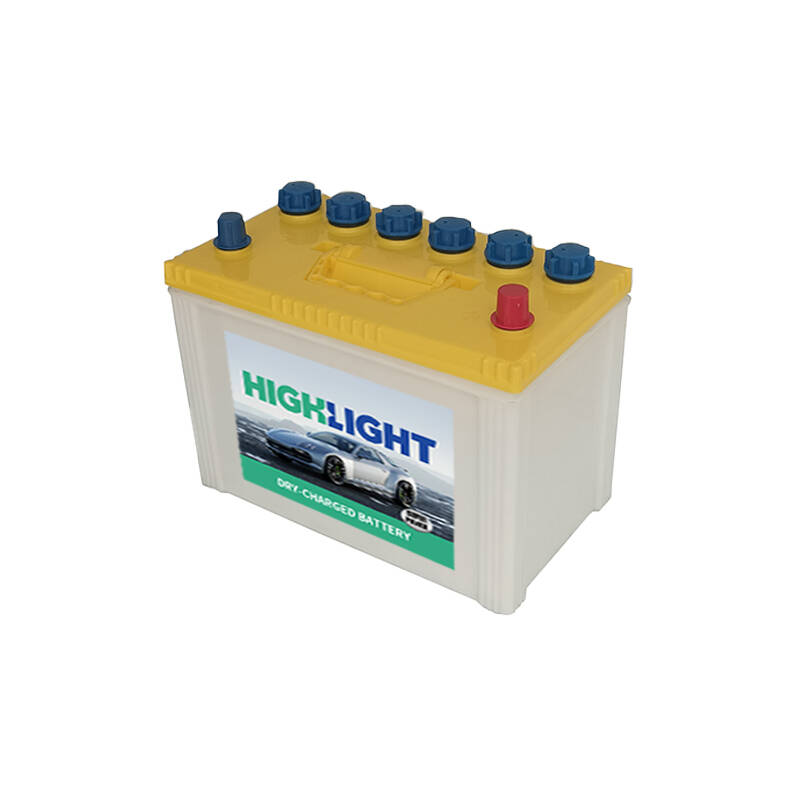 6-QA-80 Dry Charged Battery
