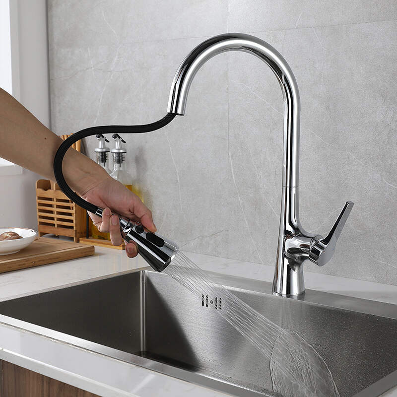 luxury polished sink gourmet kitchen faucet with pull down sprayer ...