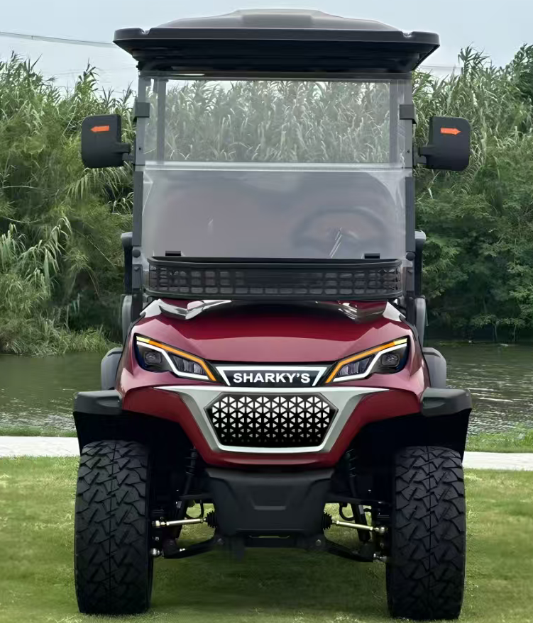 TE3 2+2-seater standard non-lifted golf cart-copy