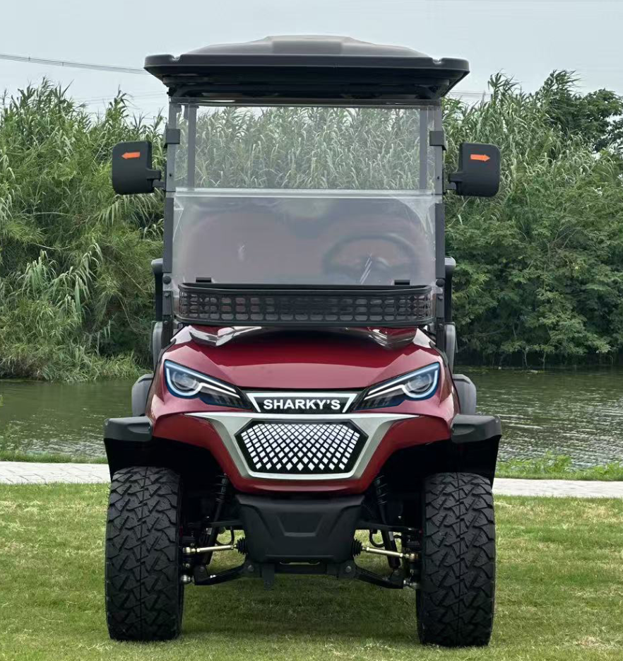 TE1 4+2-seater lifted golf cart