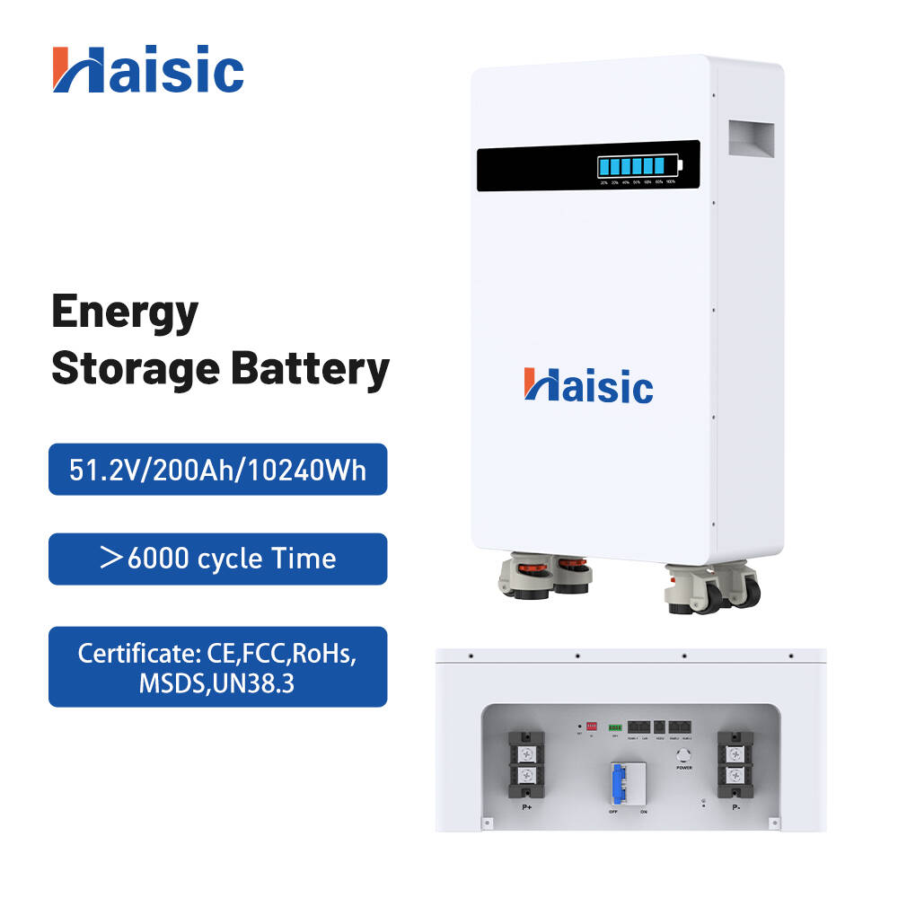 HAISIC Solar Lifepo4 Lithium Battery Wall Mounted Battery 51.2v 200ah ...