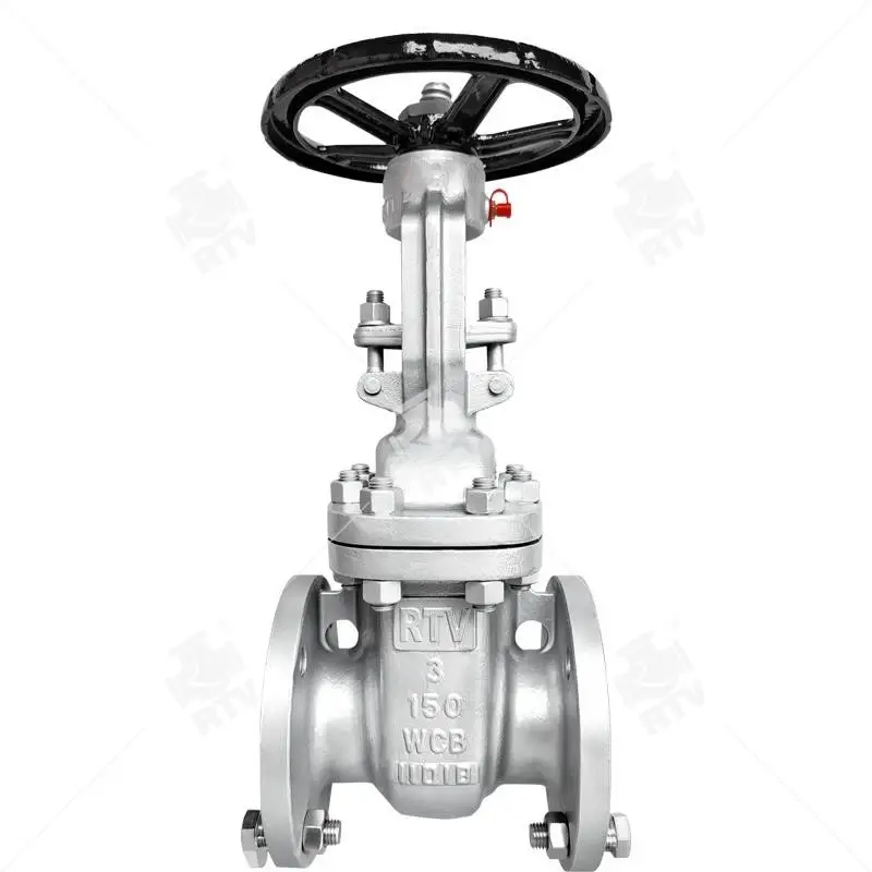 SCS13 10K GATE VALVE